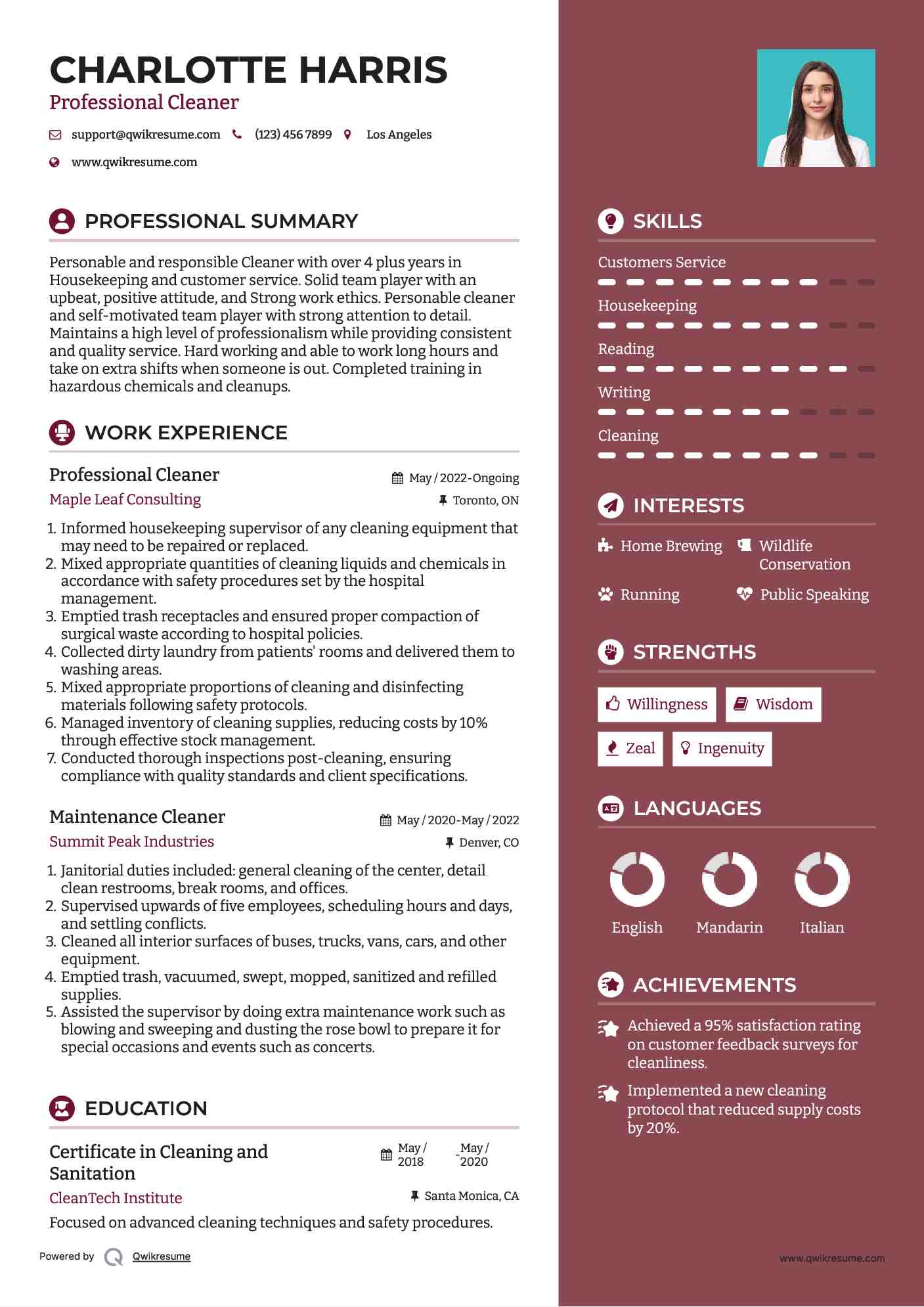Cleaner CV Example Cv Examples Resume Examples Free 59 OFF