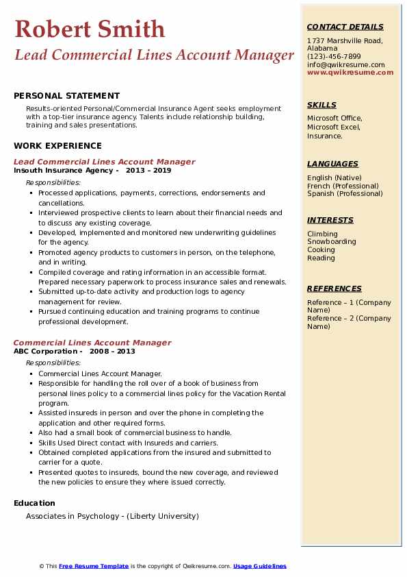 Insurance Account Manager Job Description For Resume Account 