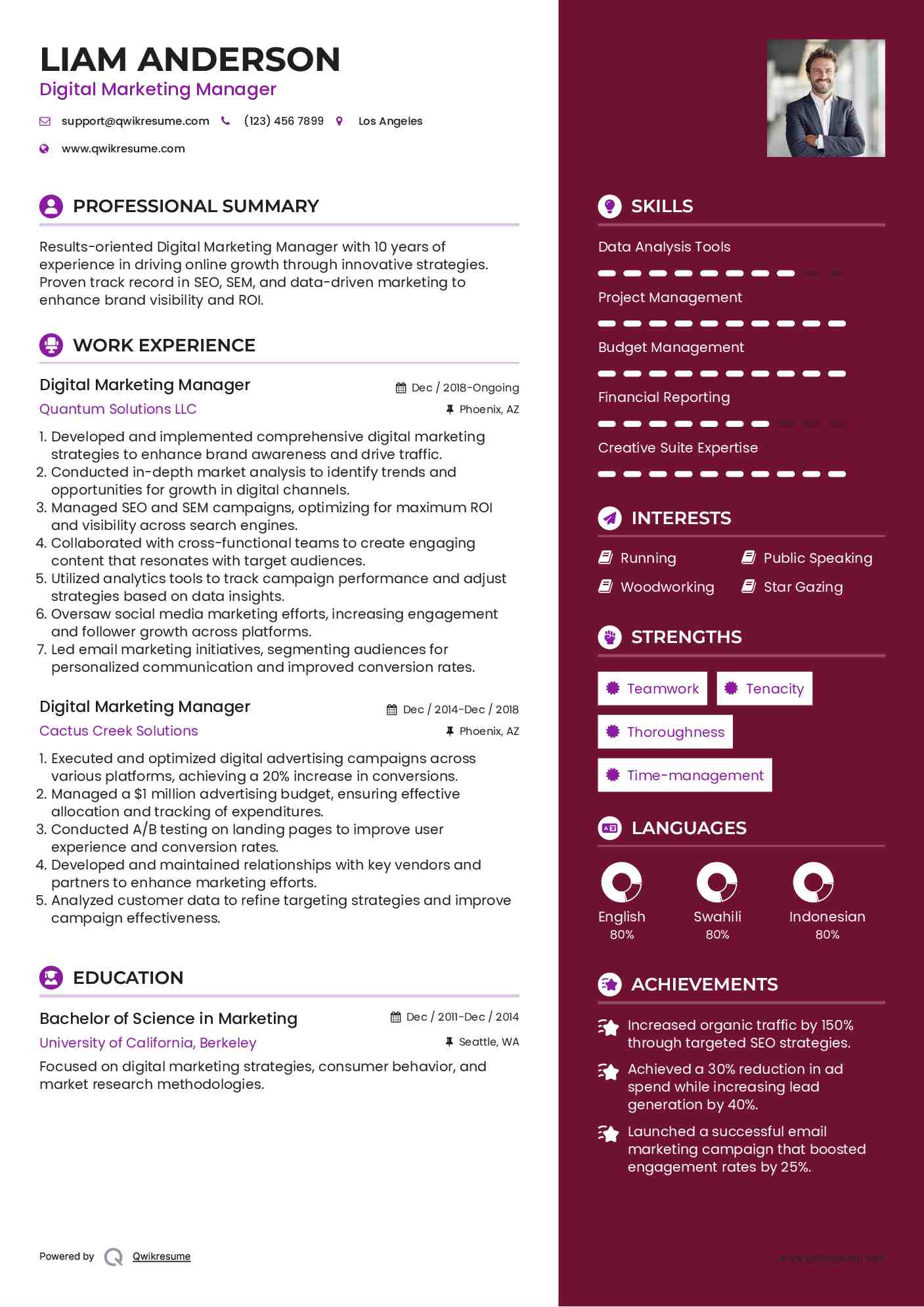Digital Marketing Manager Resume Samples QwikResume