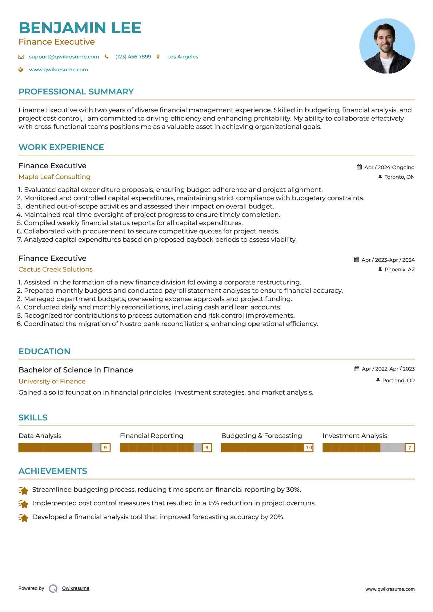 Finance Executive Resume Samples QwikResume