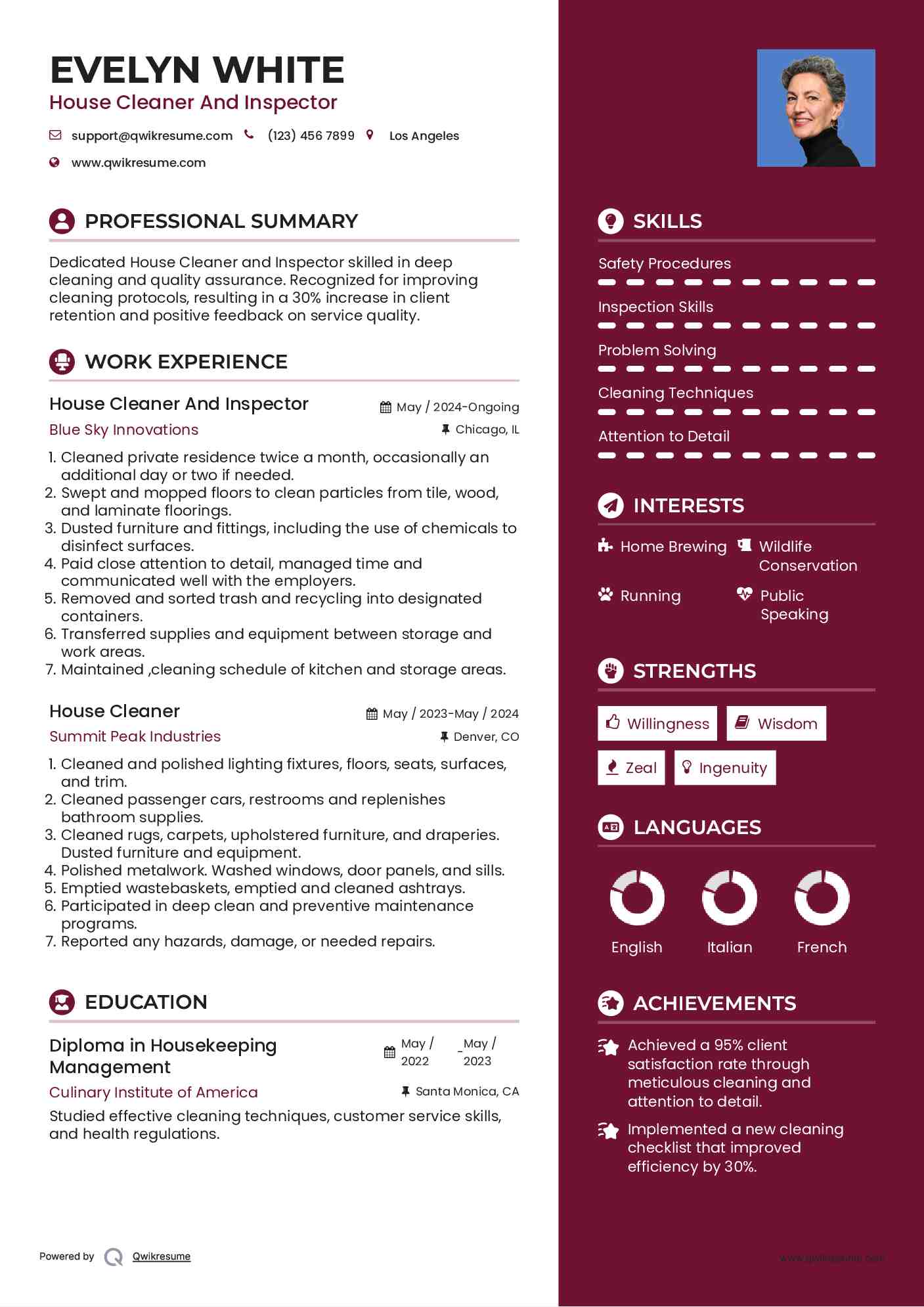 Domestic Cleaner Duties Cv Curriculum Vitae Template