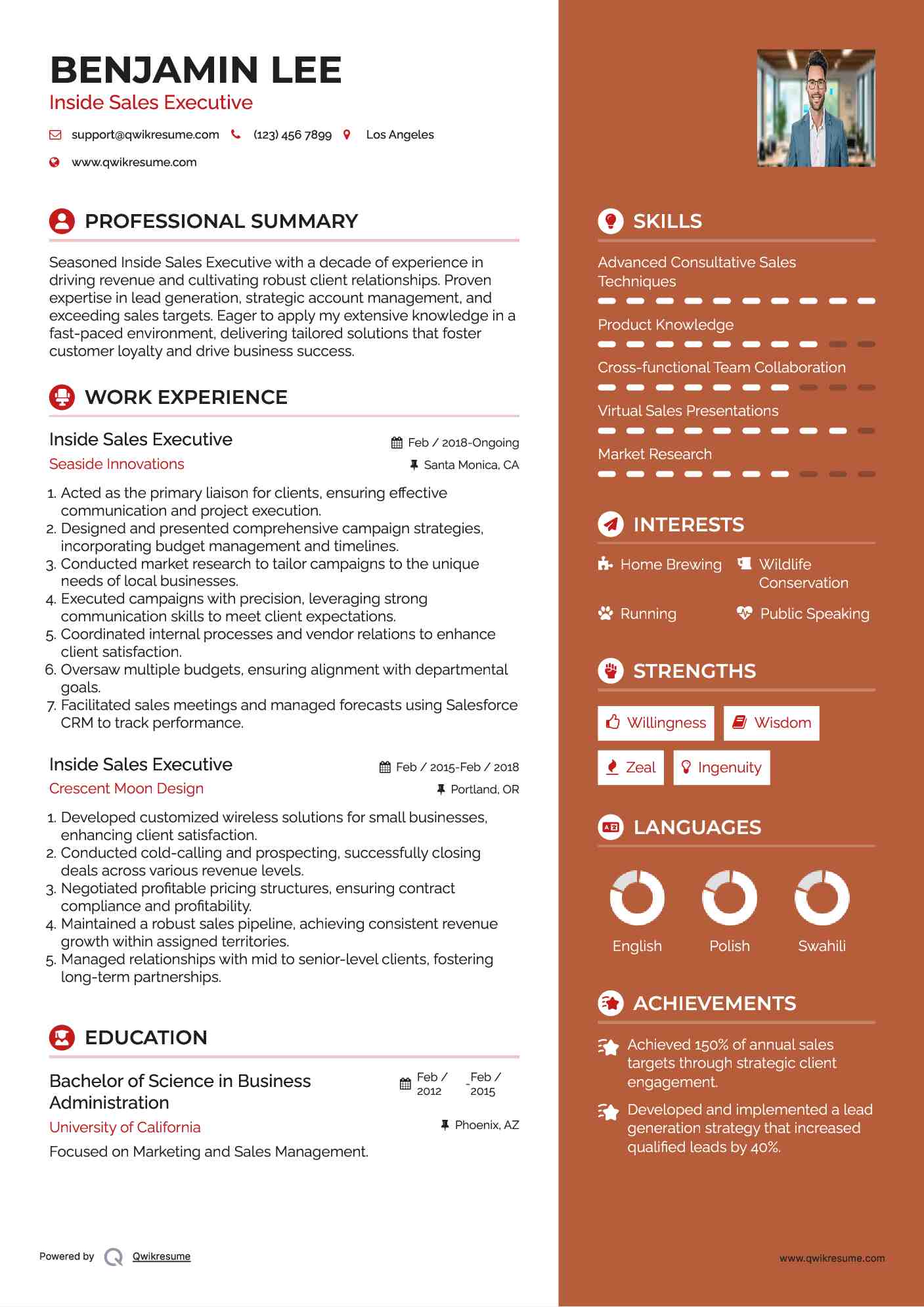 Resume For Sales Executive 9 Sales Executive Resume Templates