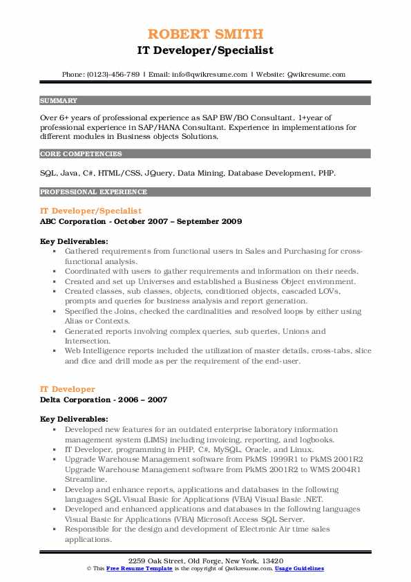 IT Developer Resume Samples | QwikResume