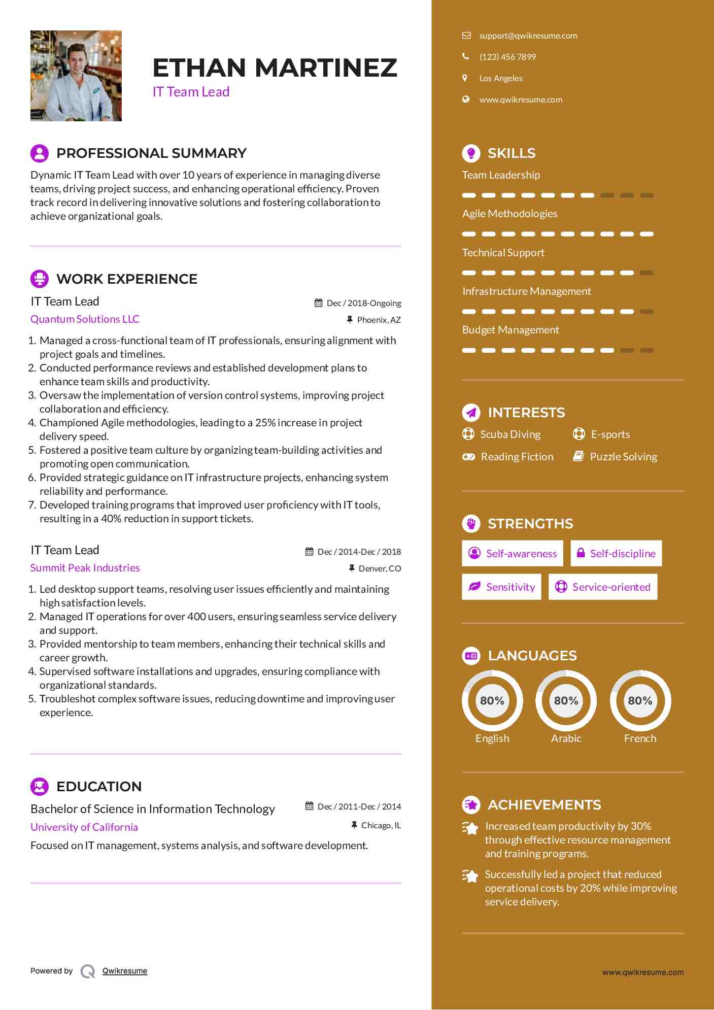 IT Team Lead Resume Samples QwikResume