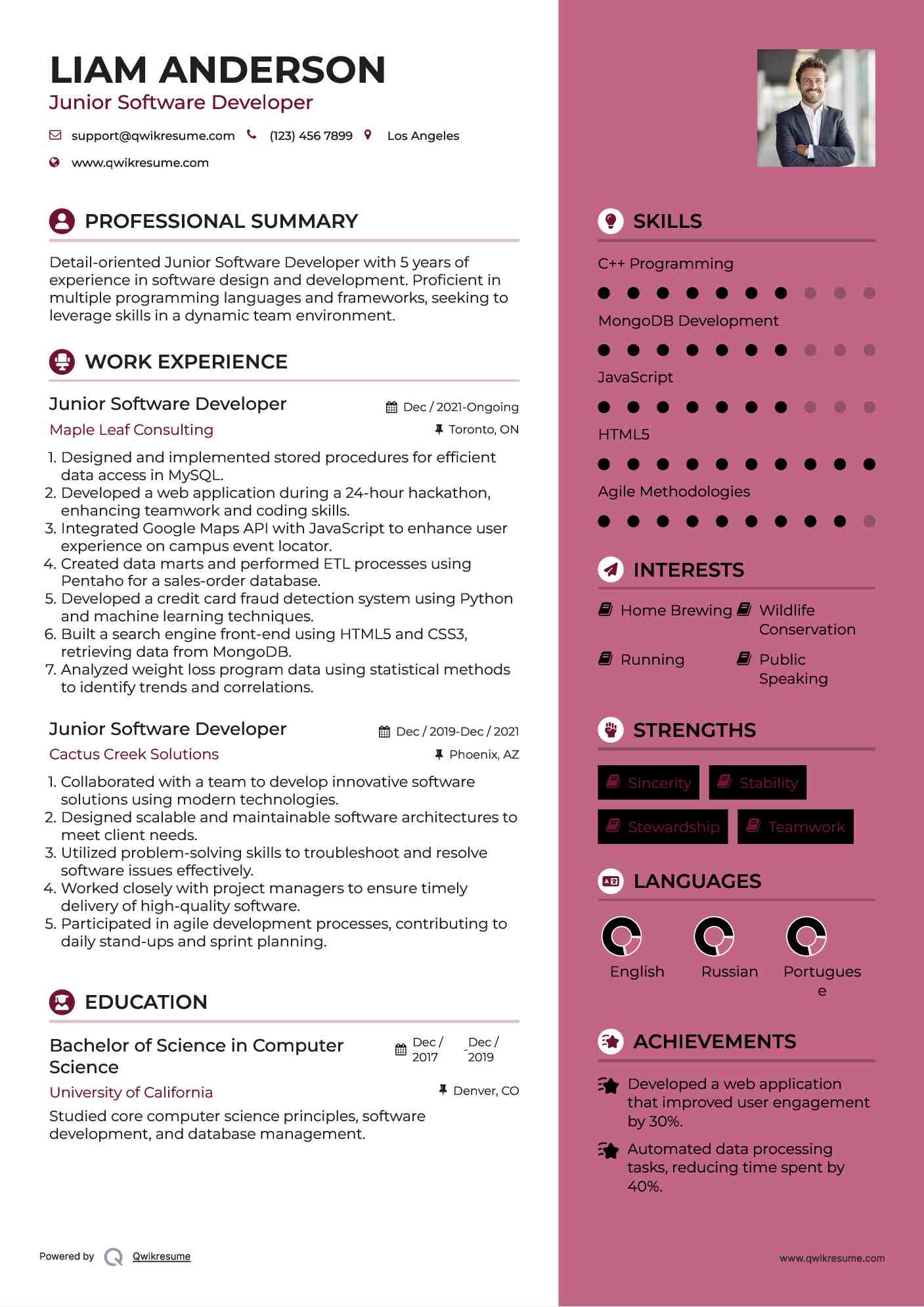 Software Developer Resume Format Professional Software Engineer 