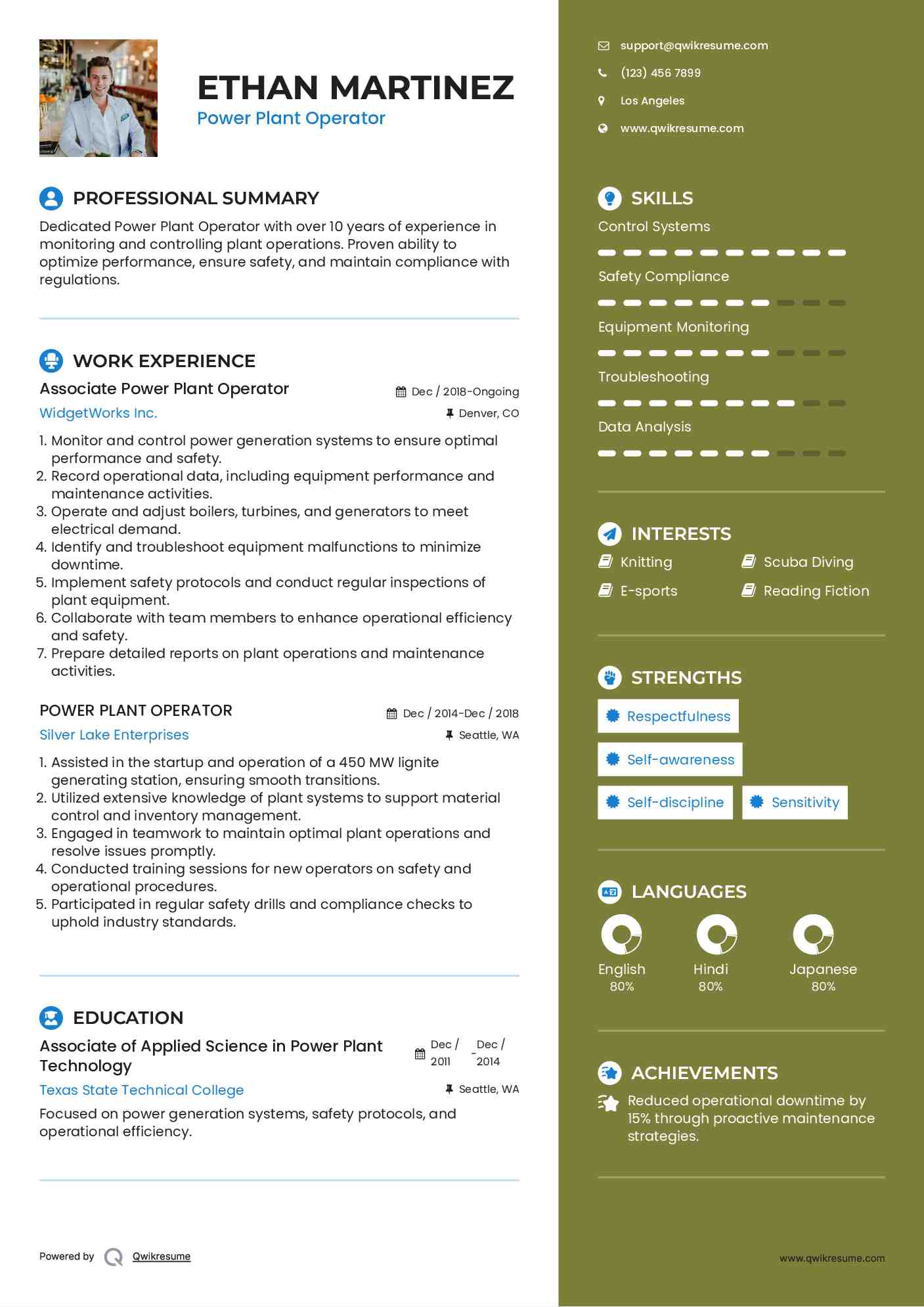 Basic Resume Template Free Sales Executive Resume Example Imaeugienewow