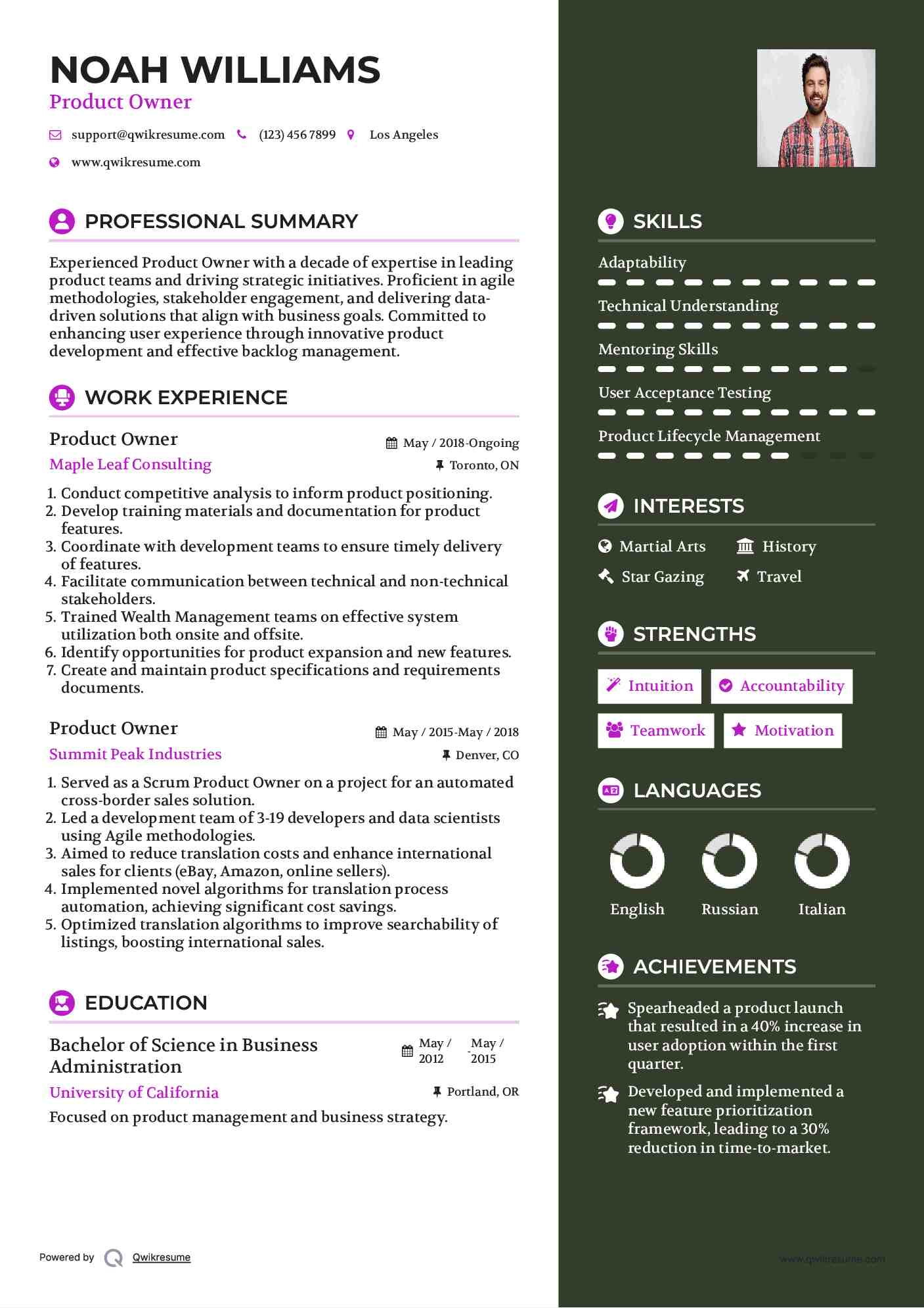 Product Owner Resume Samples QwikResume
