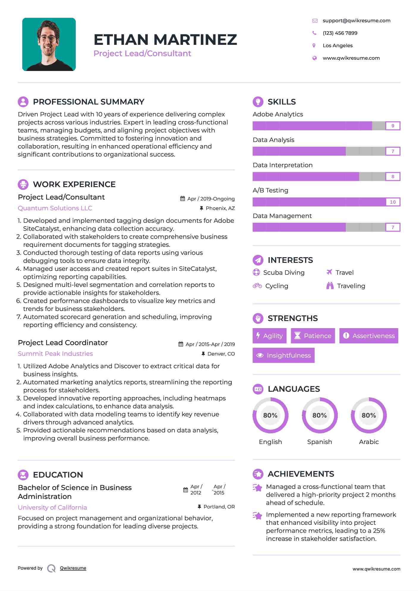 Project Lead Resume Samples QwikResume