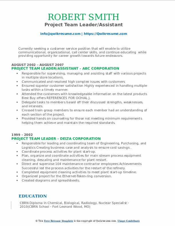 Project Team Leader Resume