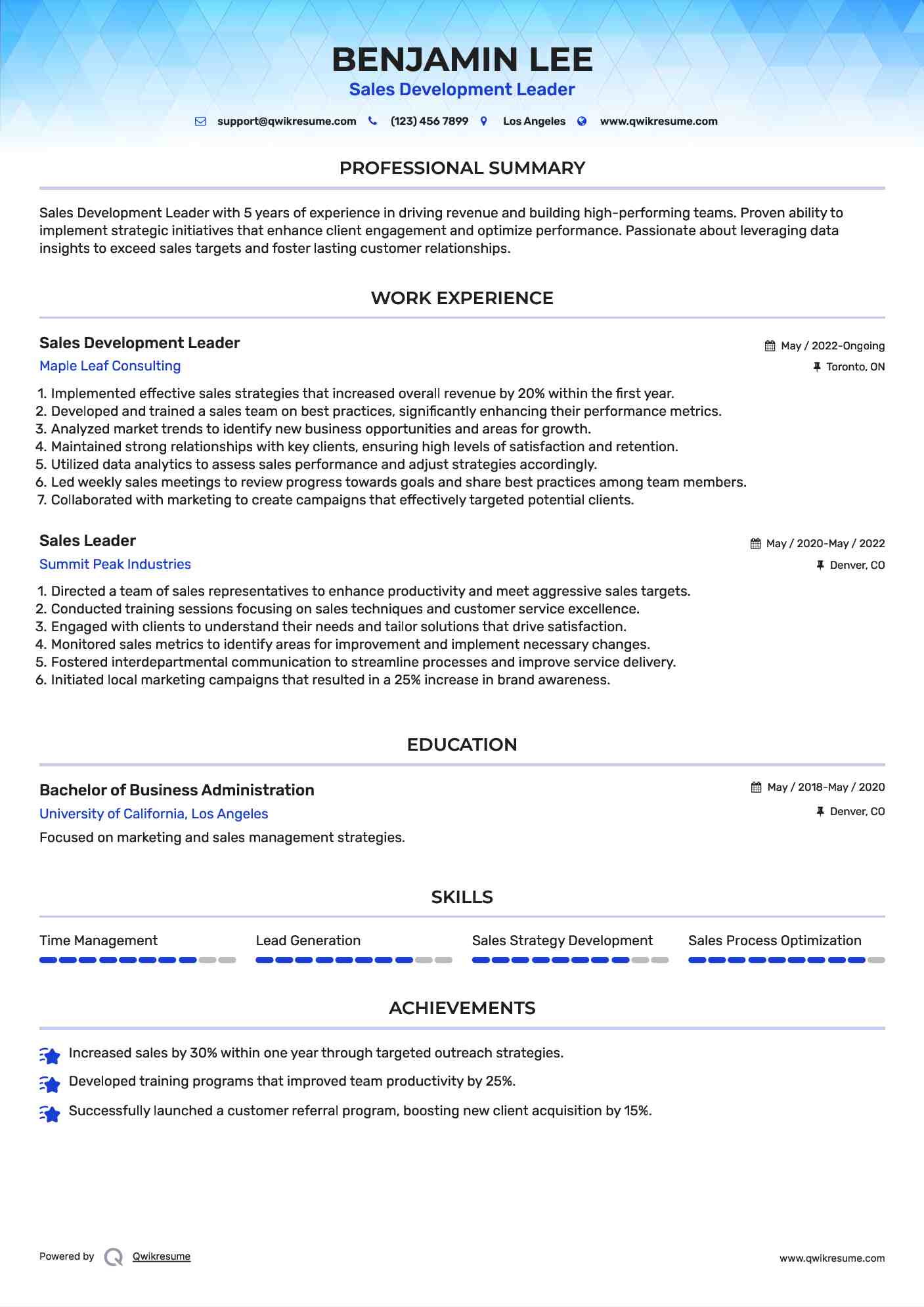 Sales Leader Resume Samples QwikResume