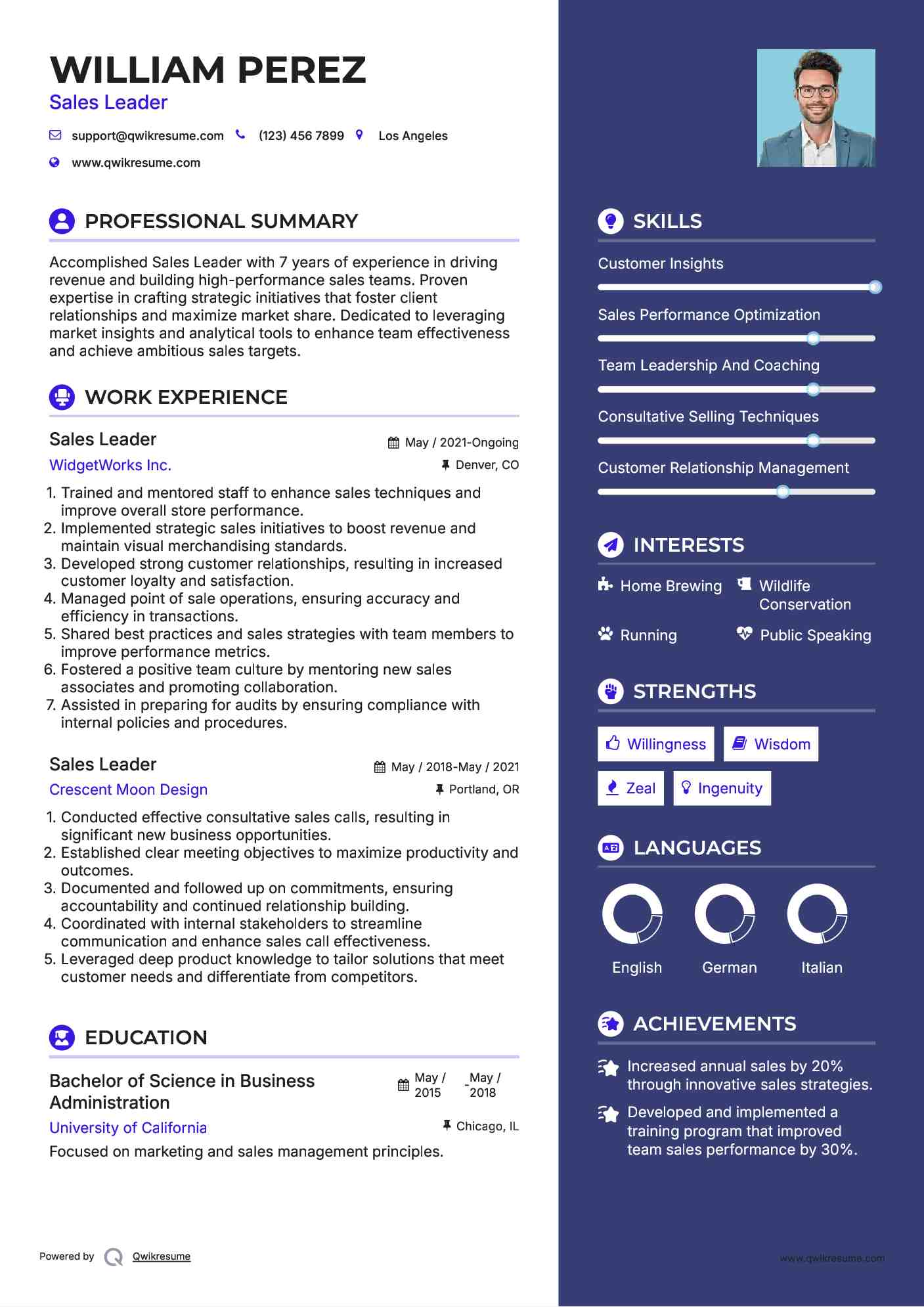 Sales Leader Resume Samples QwikResume