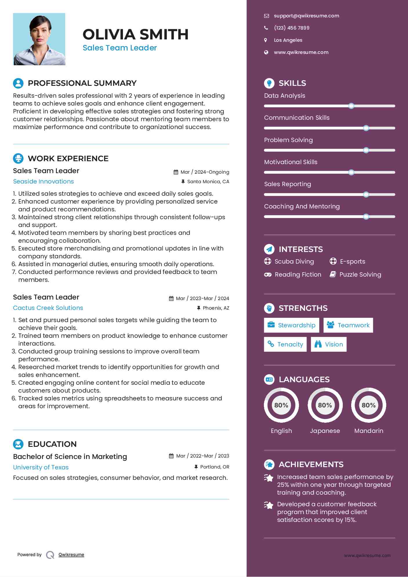 Cv For Team Leader Operations Team Leader Resume Example CNC Precision What Makes A Good 