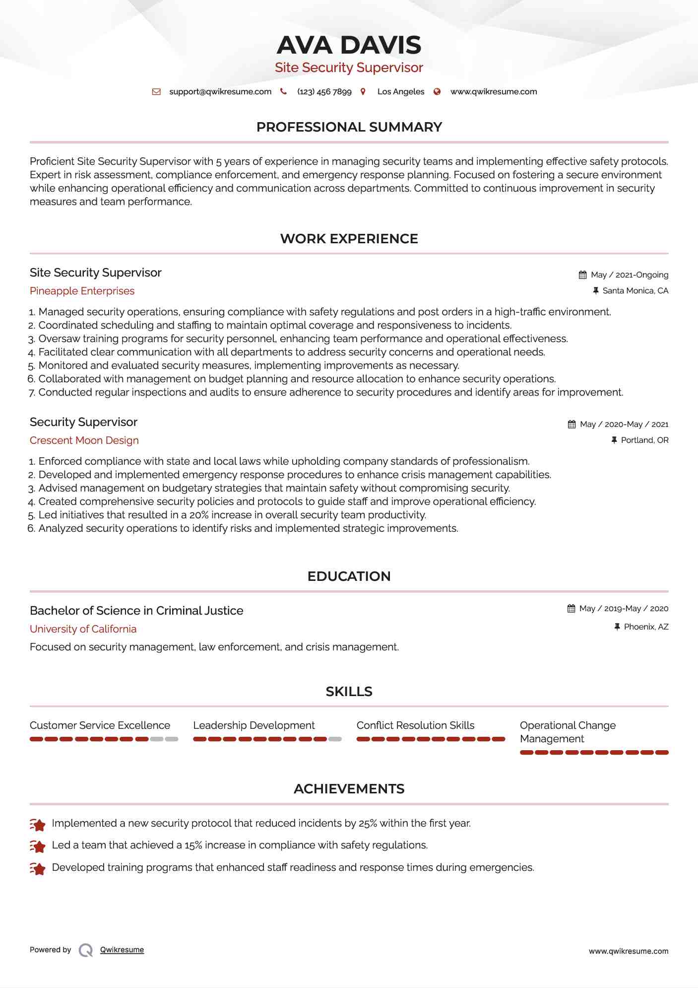 Standard Of Work Template