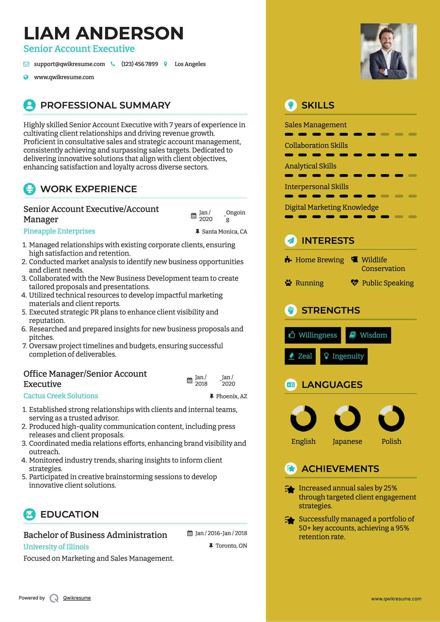 Senior Account Executive Resume Samples QwikResume
