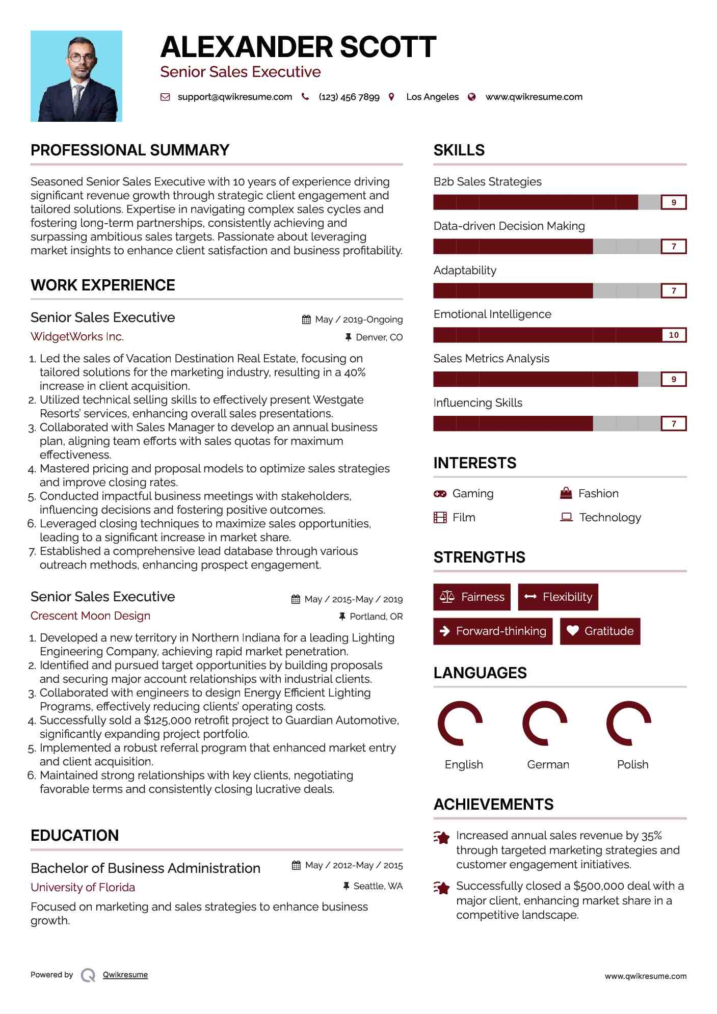 Indian Sales Executive Resume Sample Sales Executive Resume Examples 