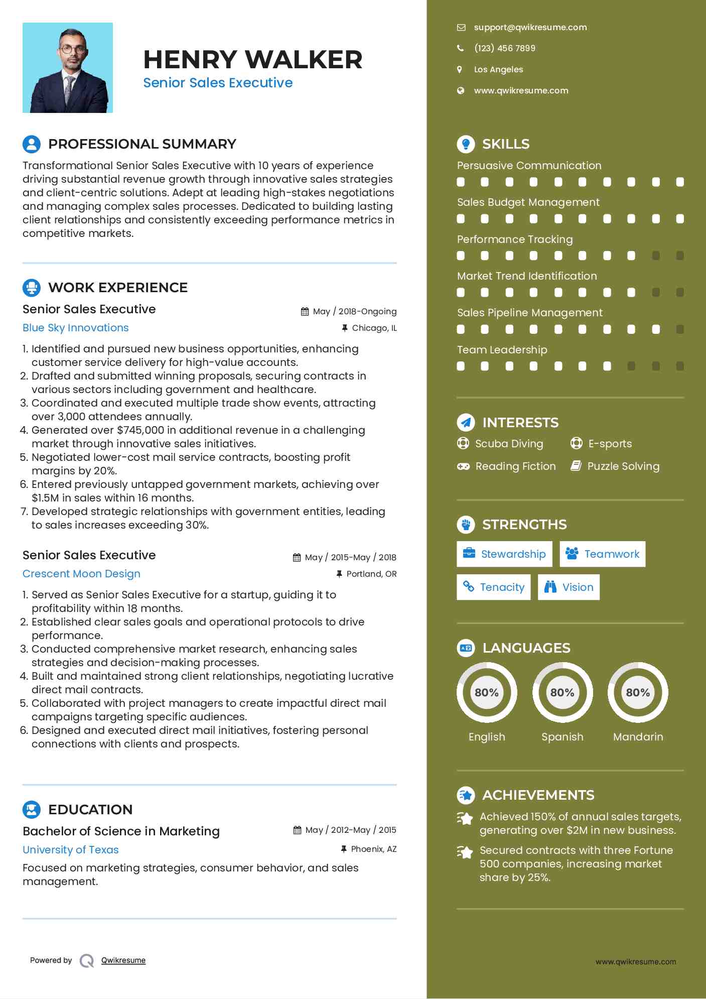 Senior Sales Executive Resume Samples QwikResume