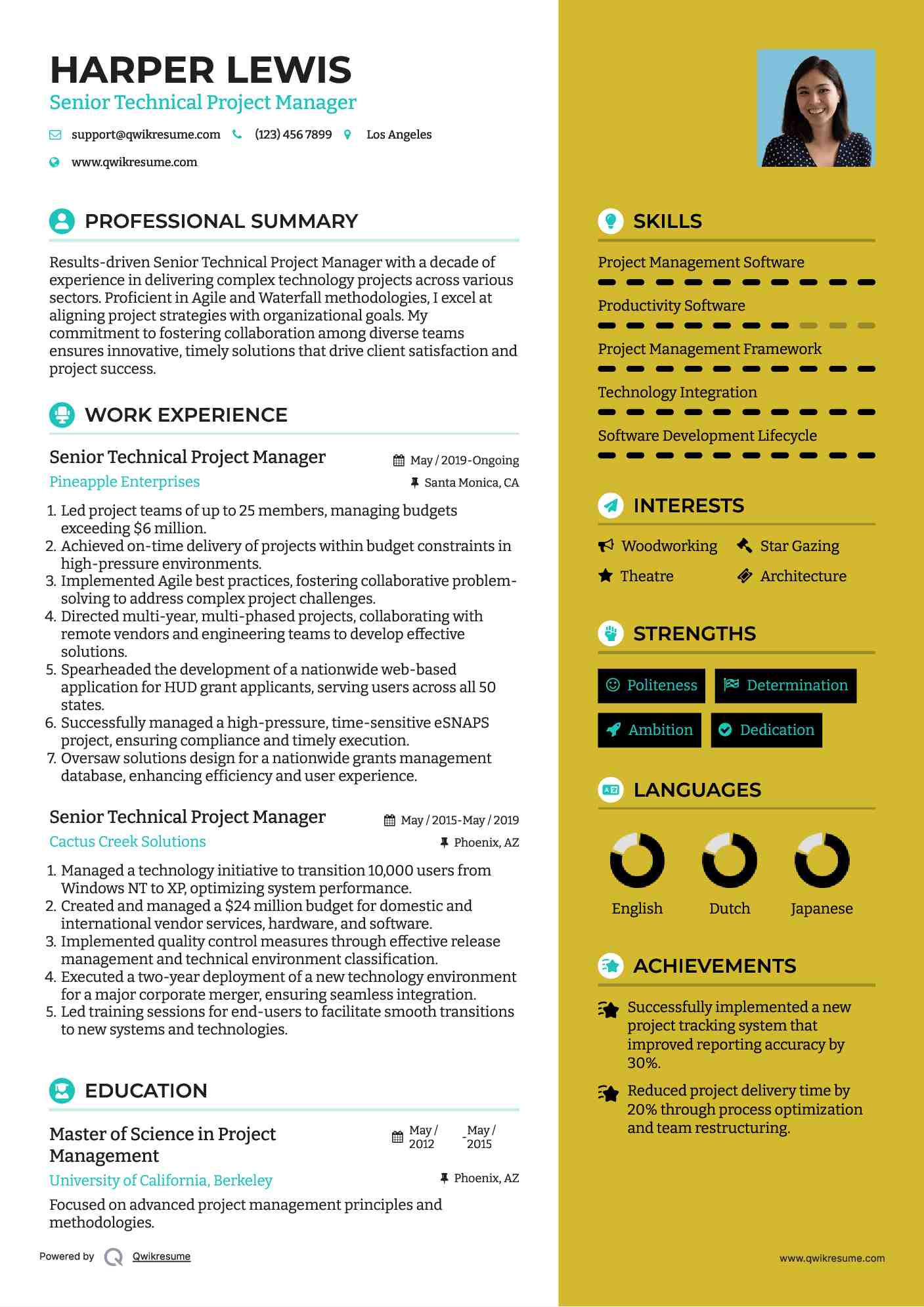 Senior Technical Project Manager Resume Samples QwikResume