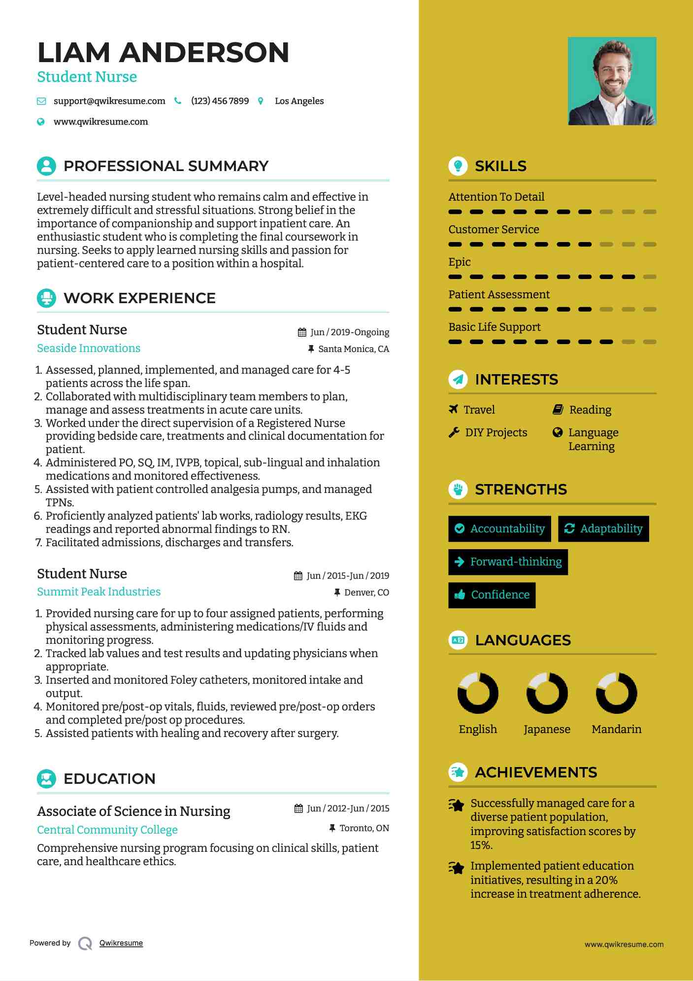Student Nurse Resume Samples QwikResume