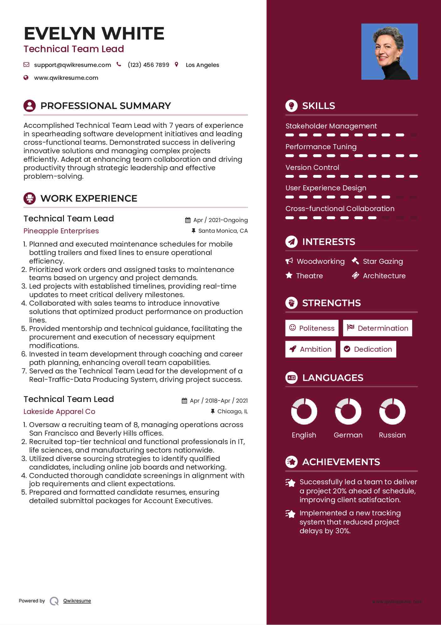 Technical Team Lead Resume Samples QwikResume